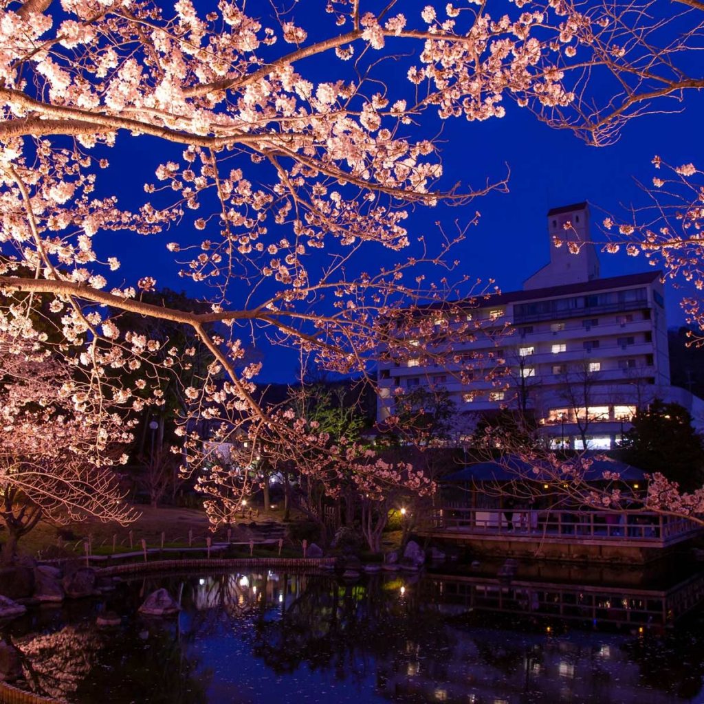 【神戸】夜桜ライトアップスポット14選！兵庫の隠れた名所や絶景スポット | PrettyOnline