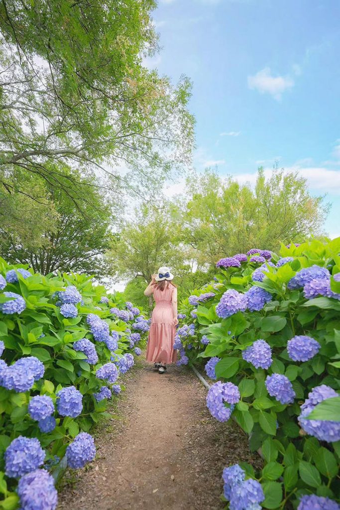 【滋賀】植物園やお花スポットおすすめ10選！料金やアクセスも紹介 | PrettyOnline