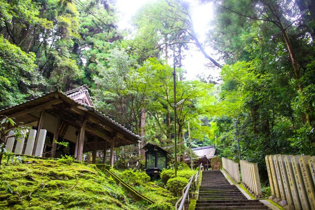 【能勢の観光スポット10選】自然あふれる大阪のてっぺんへお出かけしよう！ | PrettyOnline