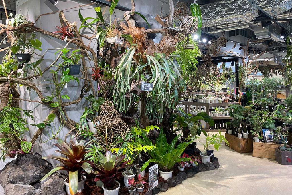 ついに先行開業！梅田「グラングリーン大阪」のレストラン＆ショップまとめ | PrettyOnline