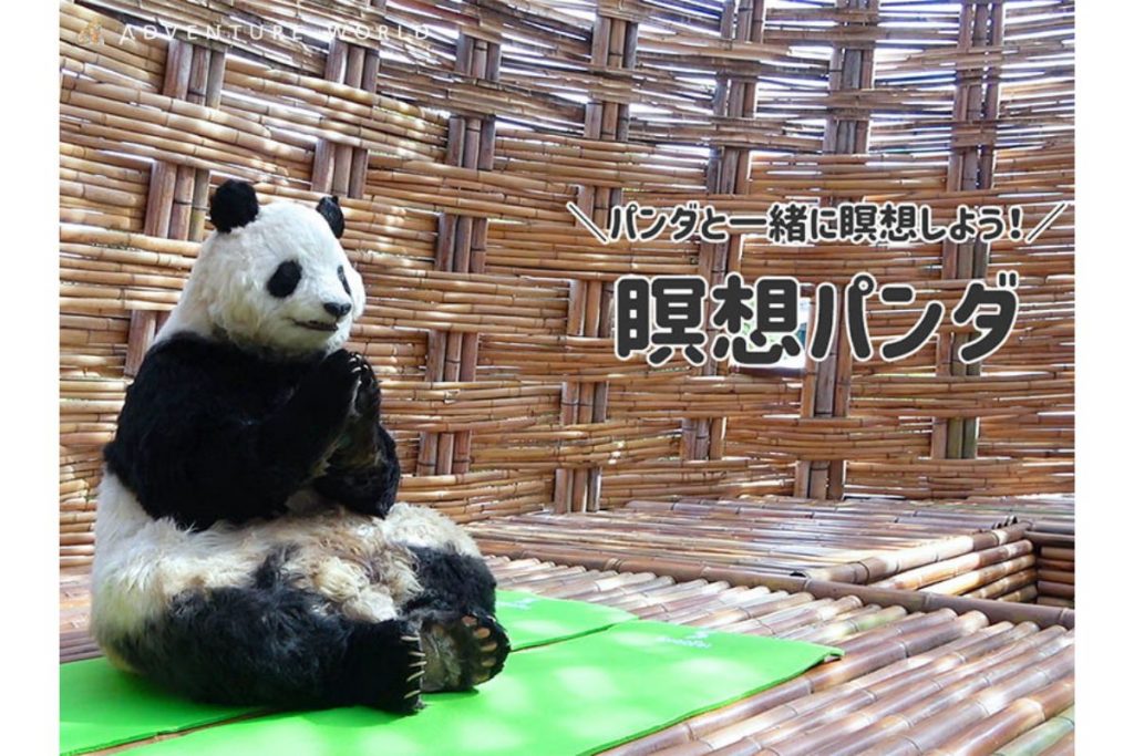 「アドベンチャーワールド」に“新種パンダ”が出現!?30周年イベント開催 | PrettyOnline