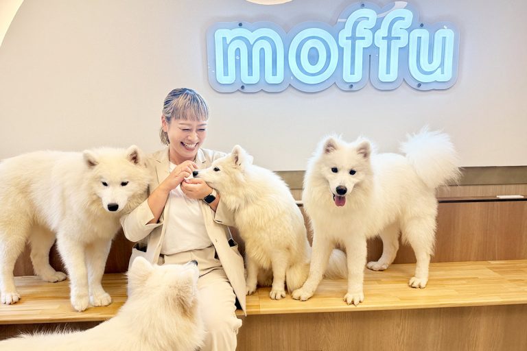 大阪の犬カフェおすすめ11選！柴犬やサモエドに癒される人気ドッグカフェ | PrettyOnline